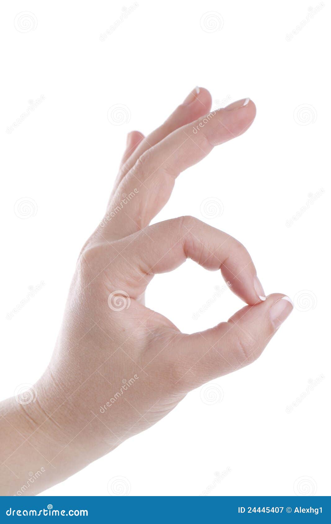 Hand showing OK stock image. Image of sign, adult, show - 24445407