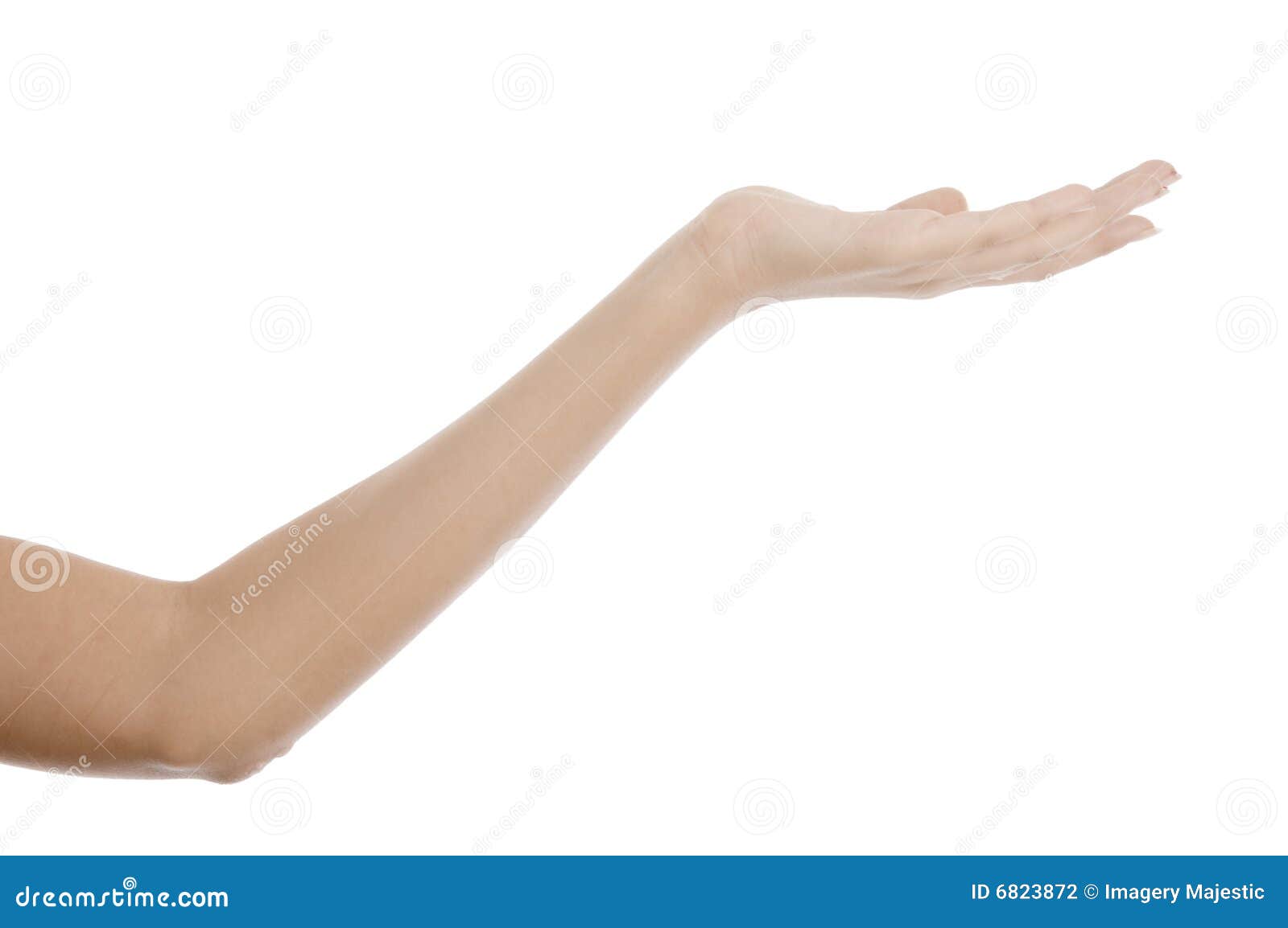 Hand showing palm stock photo. Image of studio, sign, copy - 6823872