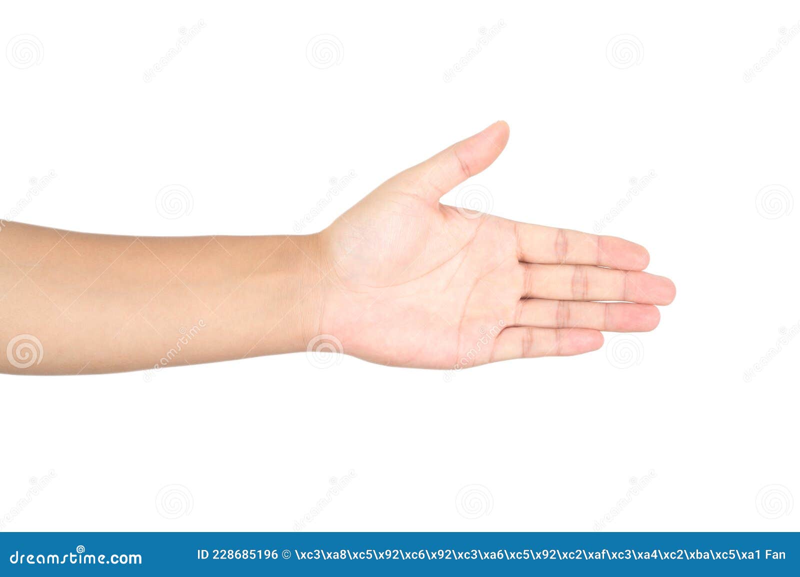 A Hand Showing the Palm in Front of a White Background Stock Photo ...