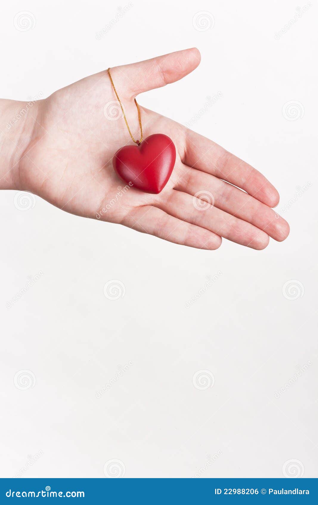Hand showing a red heart stock photo. Image of symbol - 22988206