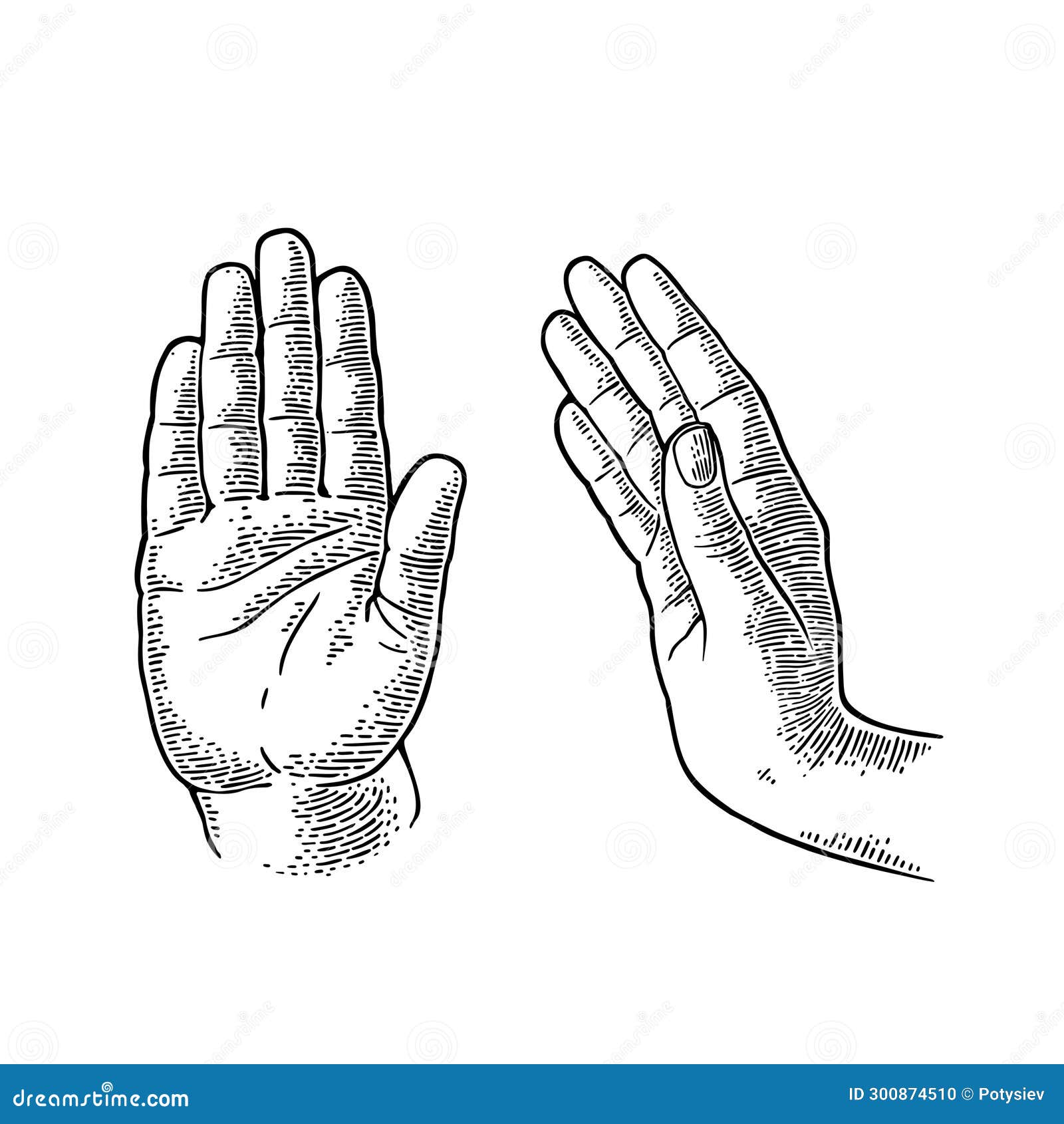 Hand Showing Stop Gesture. Front and Side View. Vector Vintage ... Hand Showing Stop Gesture. Front and Side View. Vector Vintage ...