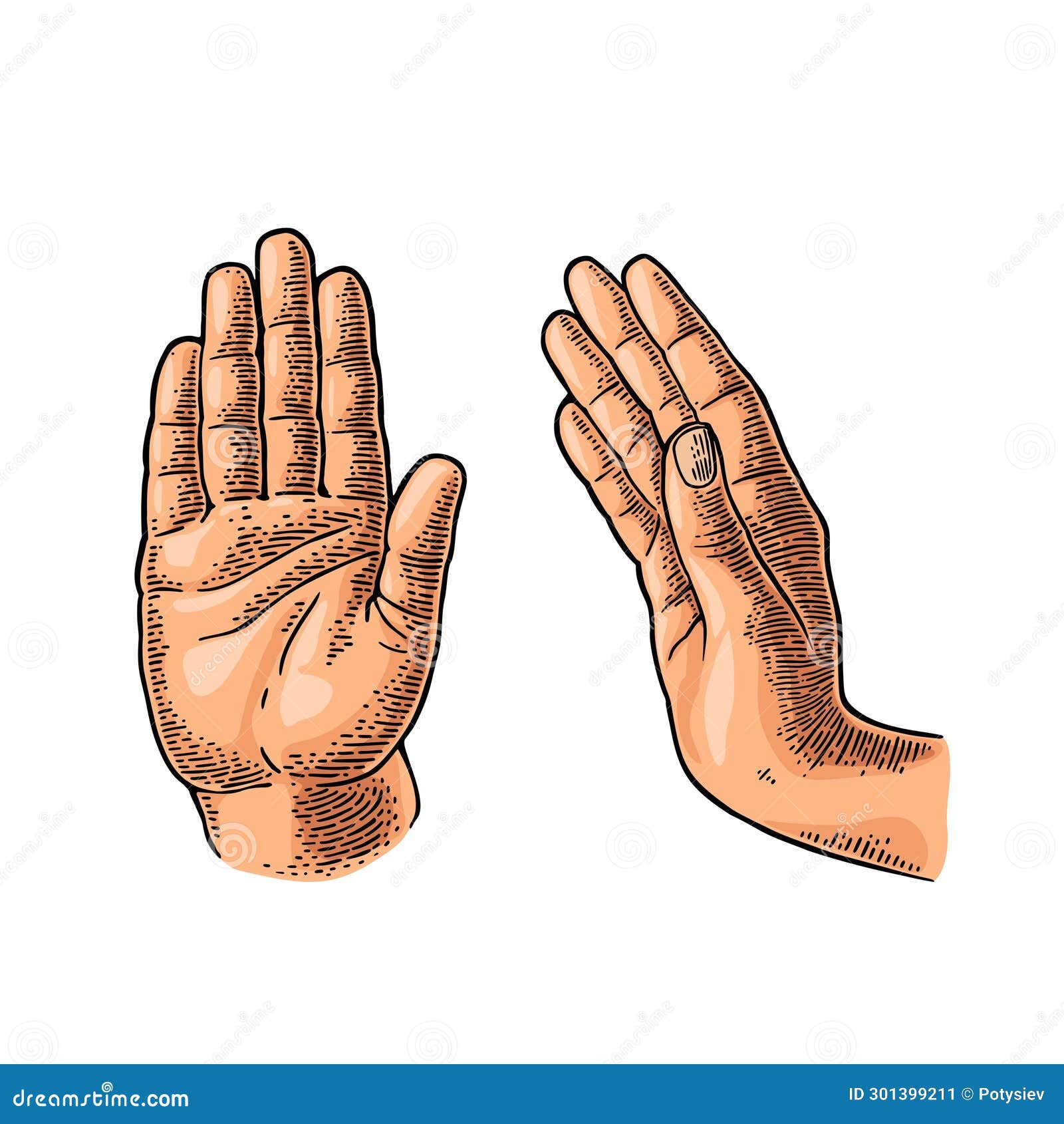 Hand Showing Stop Gesture. Front and Side View. Vector Vintage ... Hand Showing Stop Gesture. Front and Side View. Vector Vintage ...
