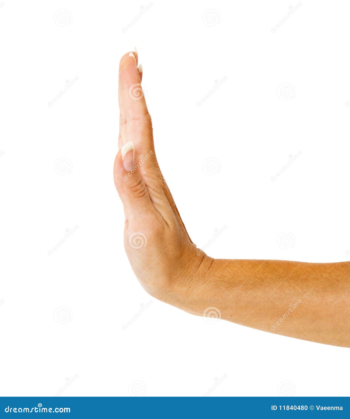 Hand showing stop sign stock photo. Image of isolated - 11840480
