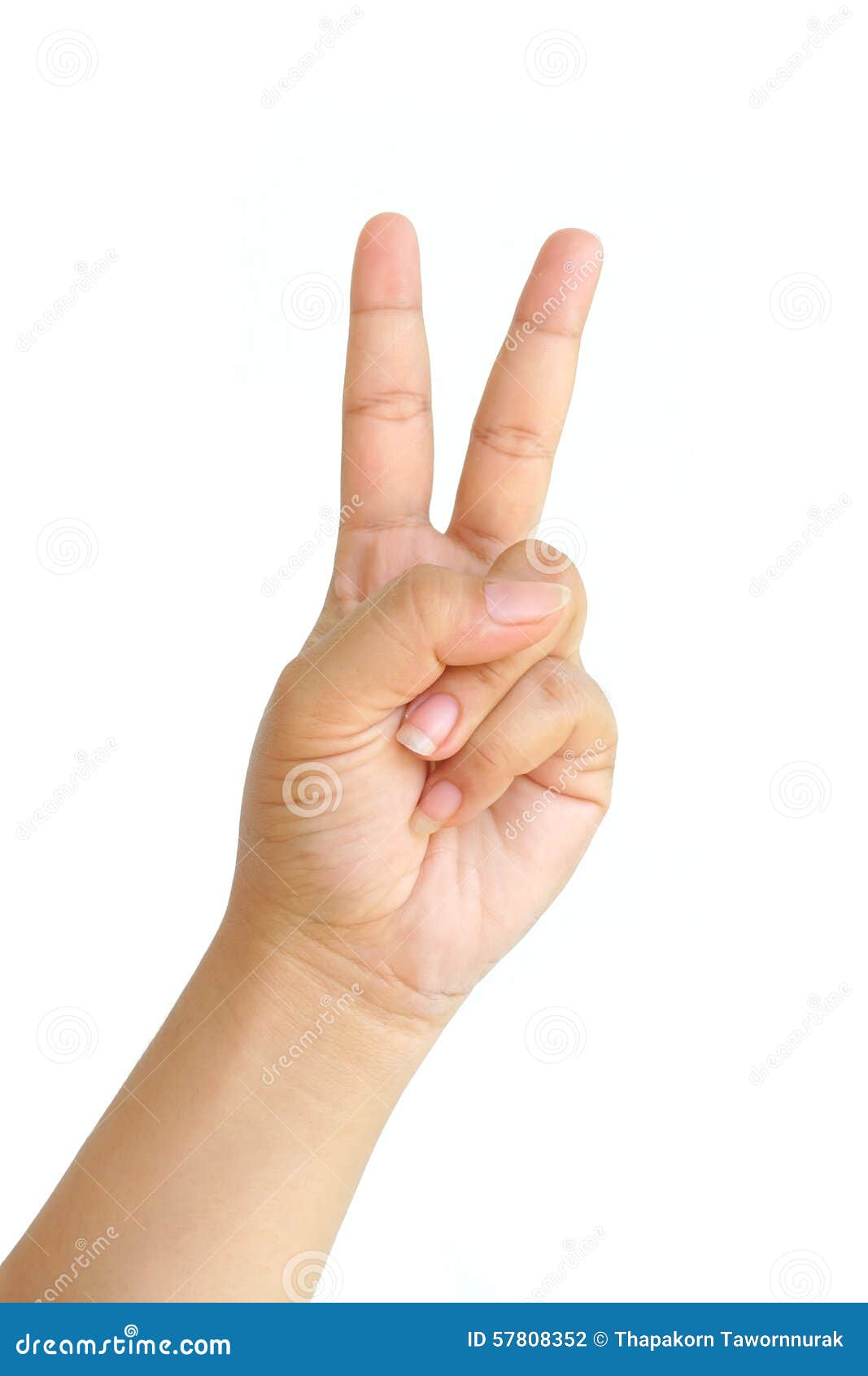 Hand Showing Two Fingers Isolated Stock Photo - Image of idea, double ...