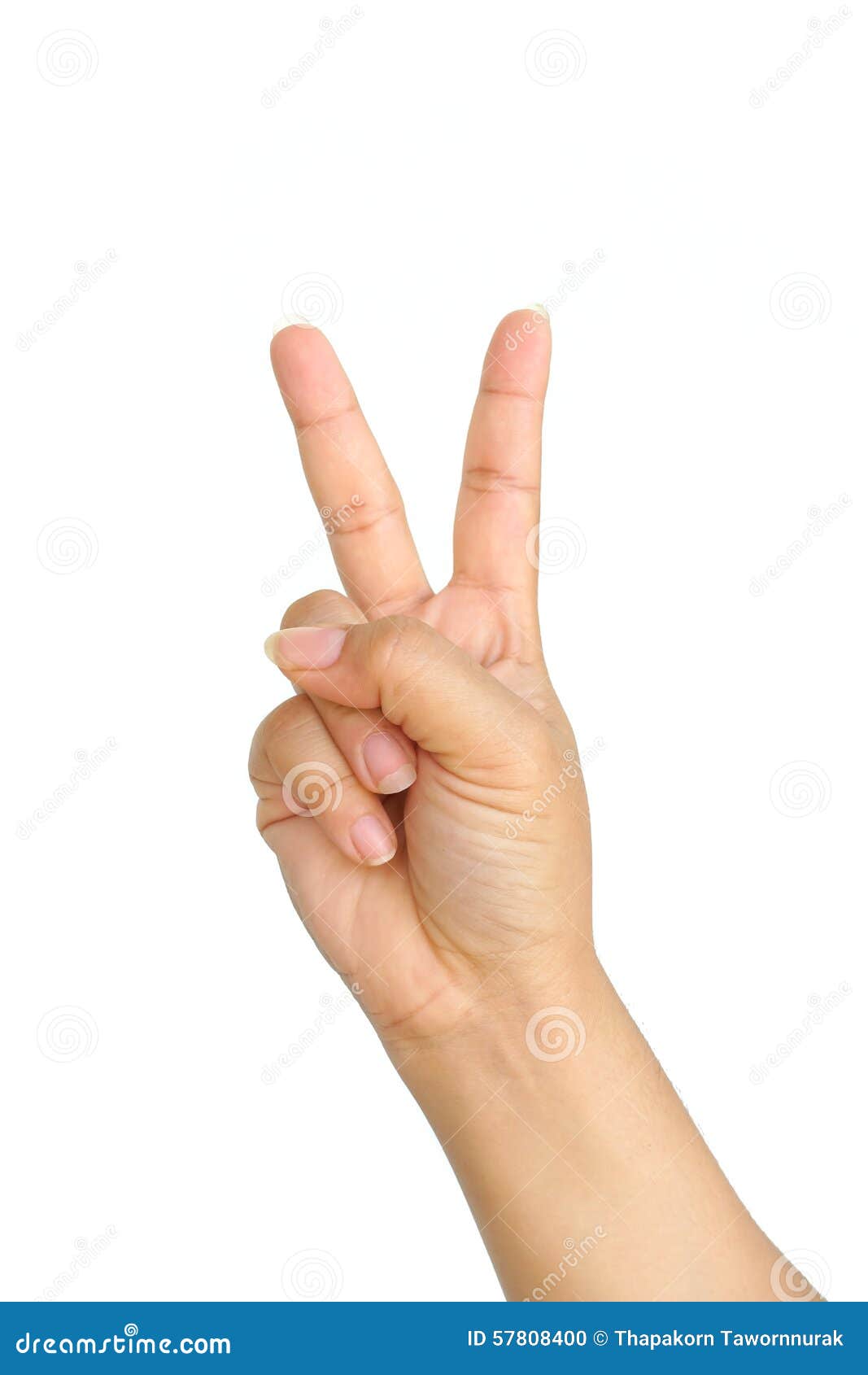 Hand Showing Two Fingers Isolated Stock Photo - Image of double ...