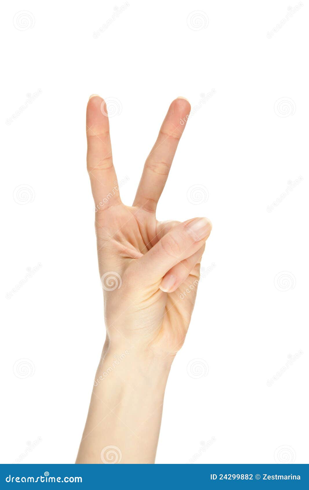 Hand showing victory sign stock photo. Image of show - 24299882