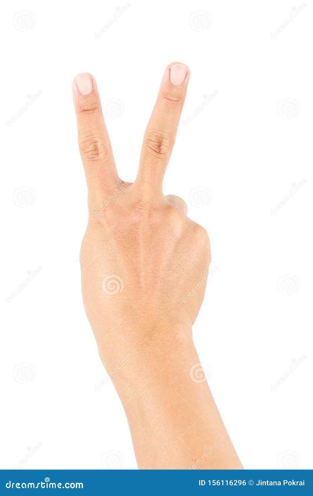 Hand Showing Victory Sign Isolated on White Background Stock Photo ...