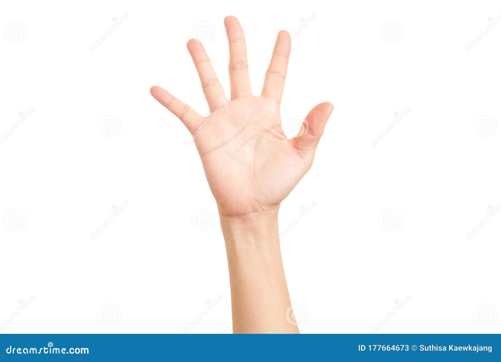 Hand Shown Five Finger Symbol on Isolated White Background for Graphic ...