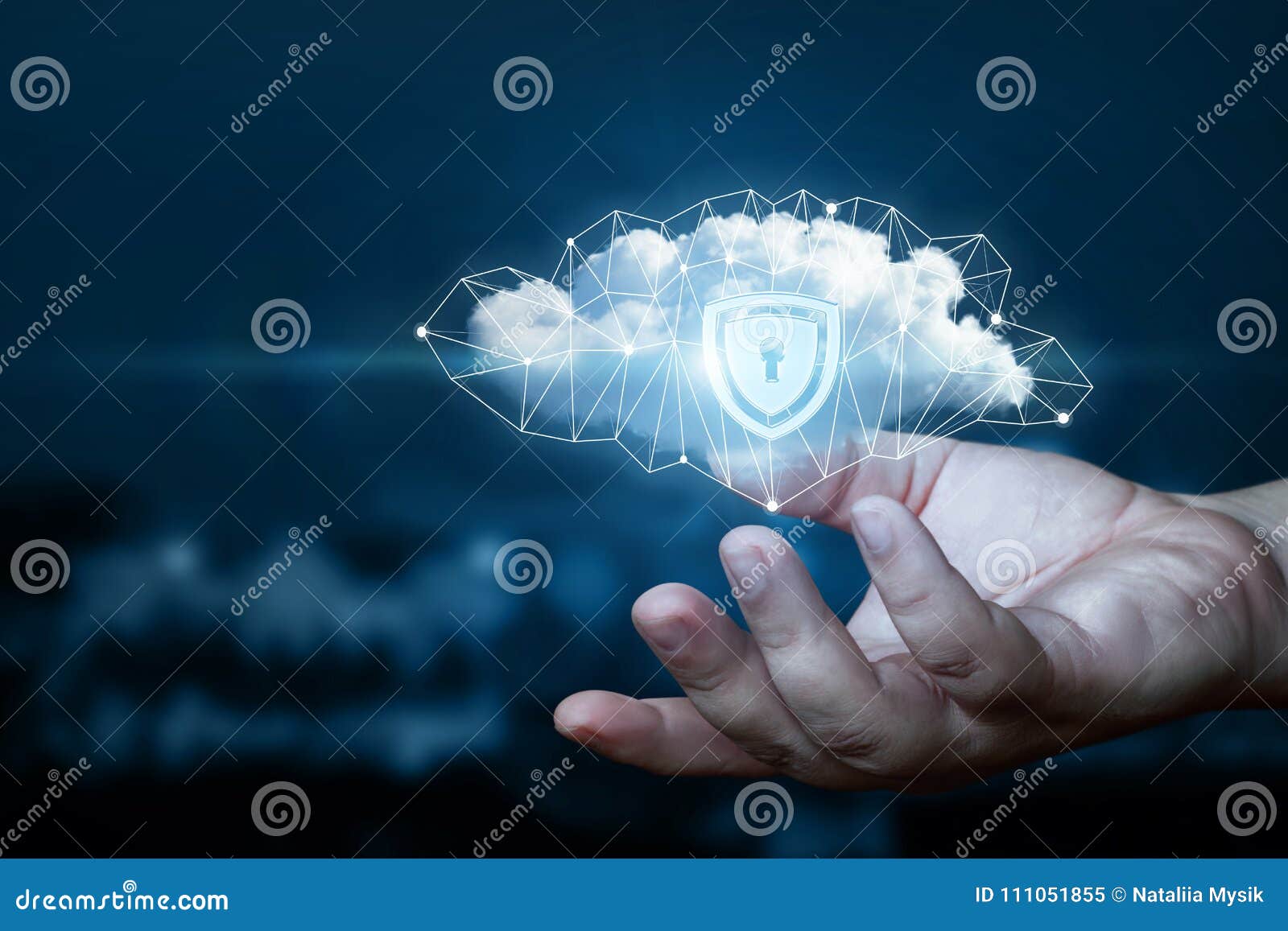 Hand Shows a Data Cloud with a Protective Shield. Stock Image - Image ...