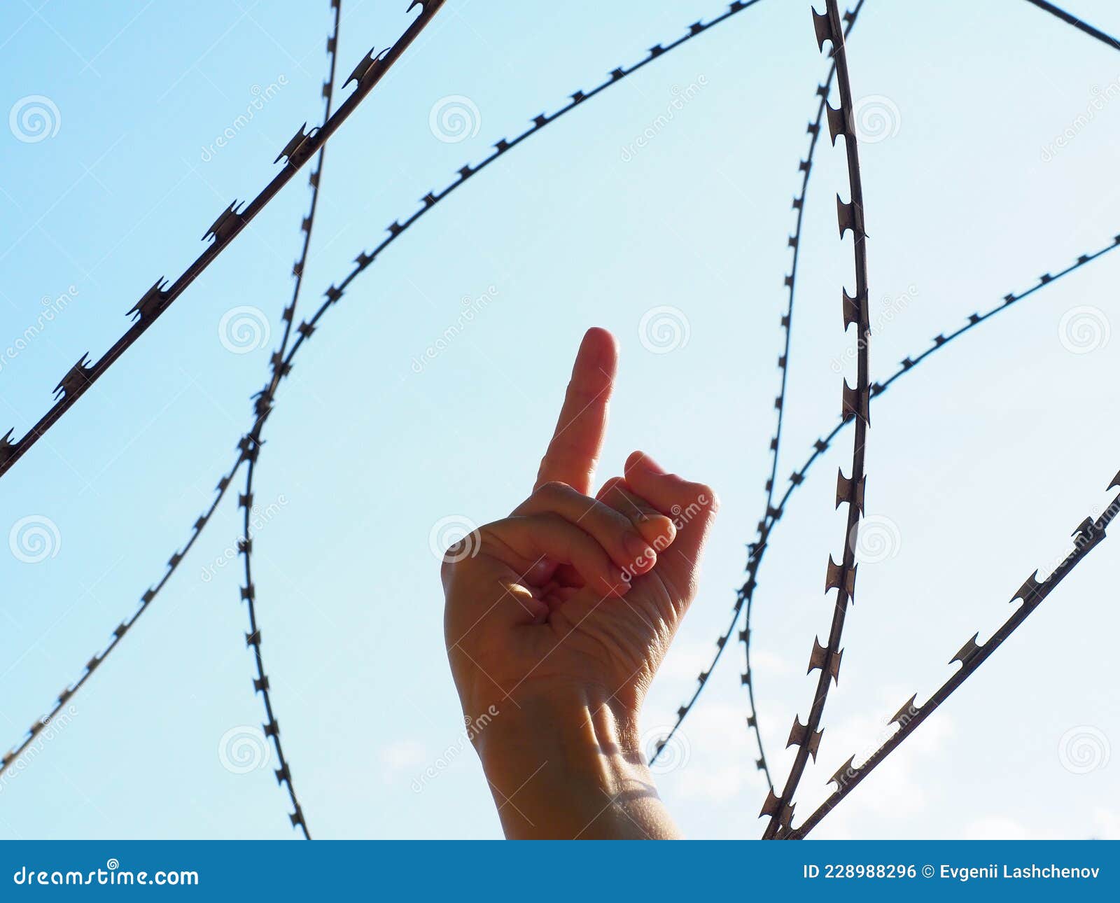 Hand Shows Middle Finger Against the Background of Barbed Wire and Blue ...