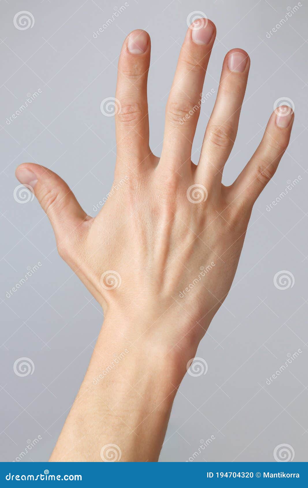 The Hand Shows the Number Five. Countdown Gesture or Sign. Sign ...