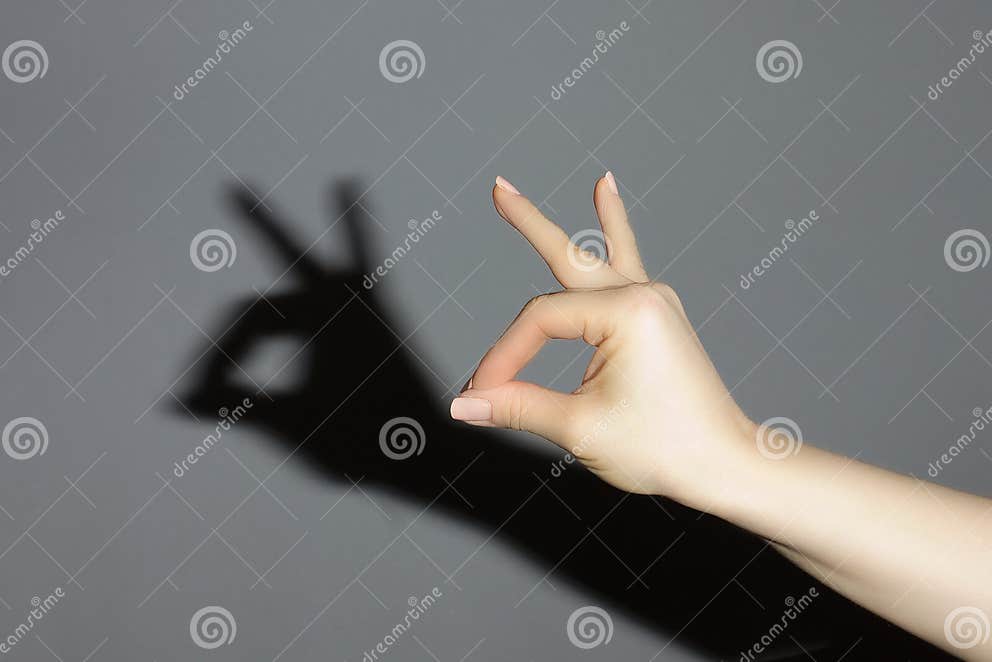 The Hand Shows a Shadow Rabbit Stock Image - Image of skin, concept ...