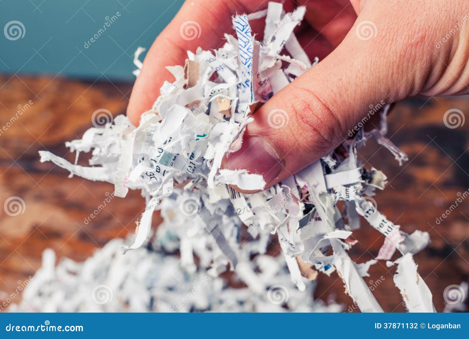 Hand with shredded paper stock photo. Image of torn, waste - 37871132