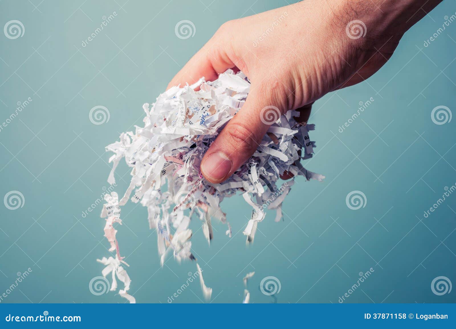Hand with shredded paper stock photo. Image of shredder - 37871158