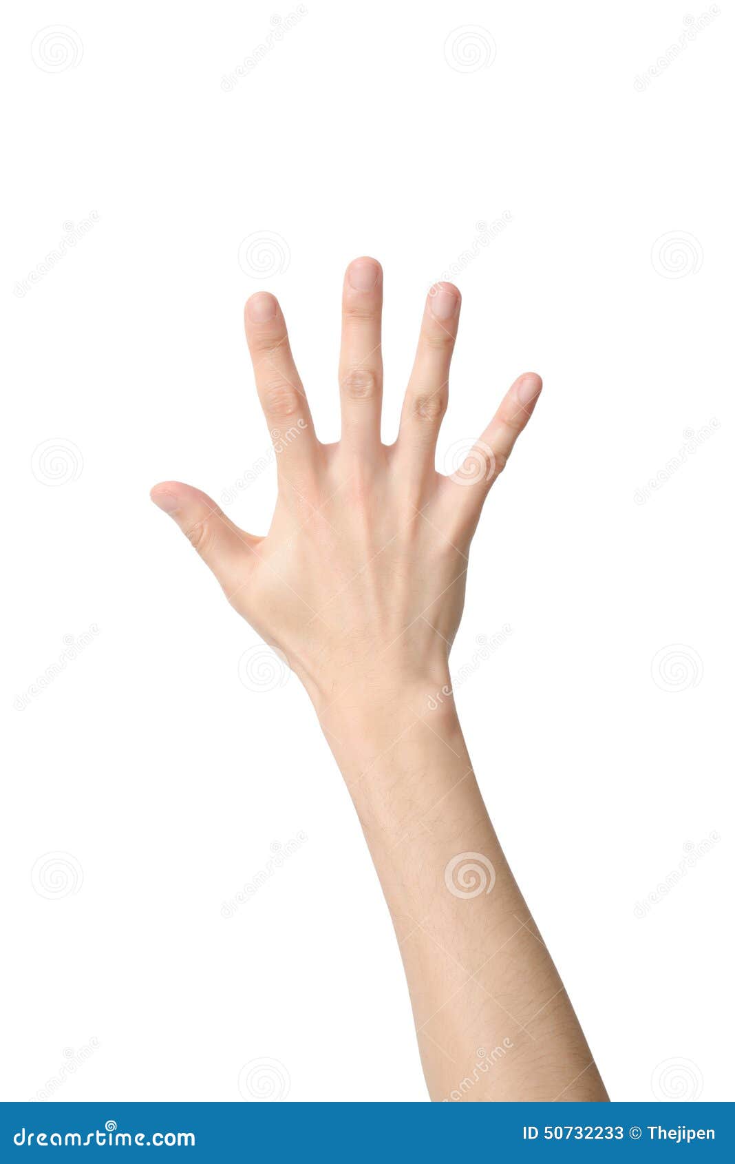 Hand sign of number five stock image. Image of hand, human - 50732233