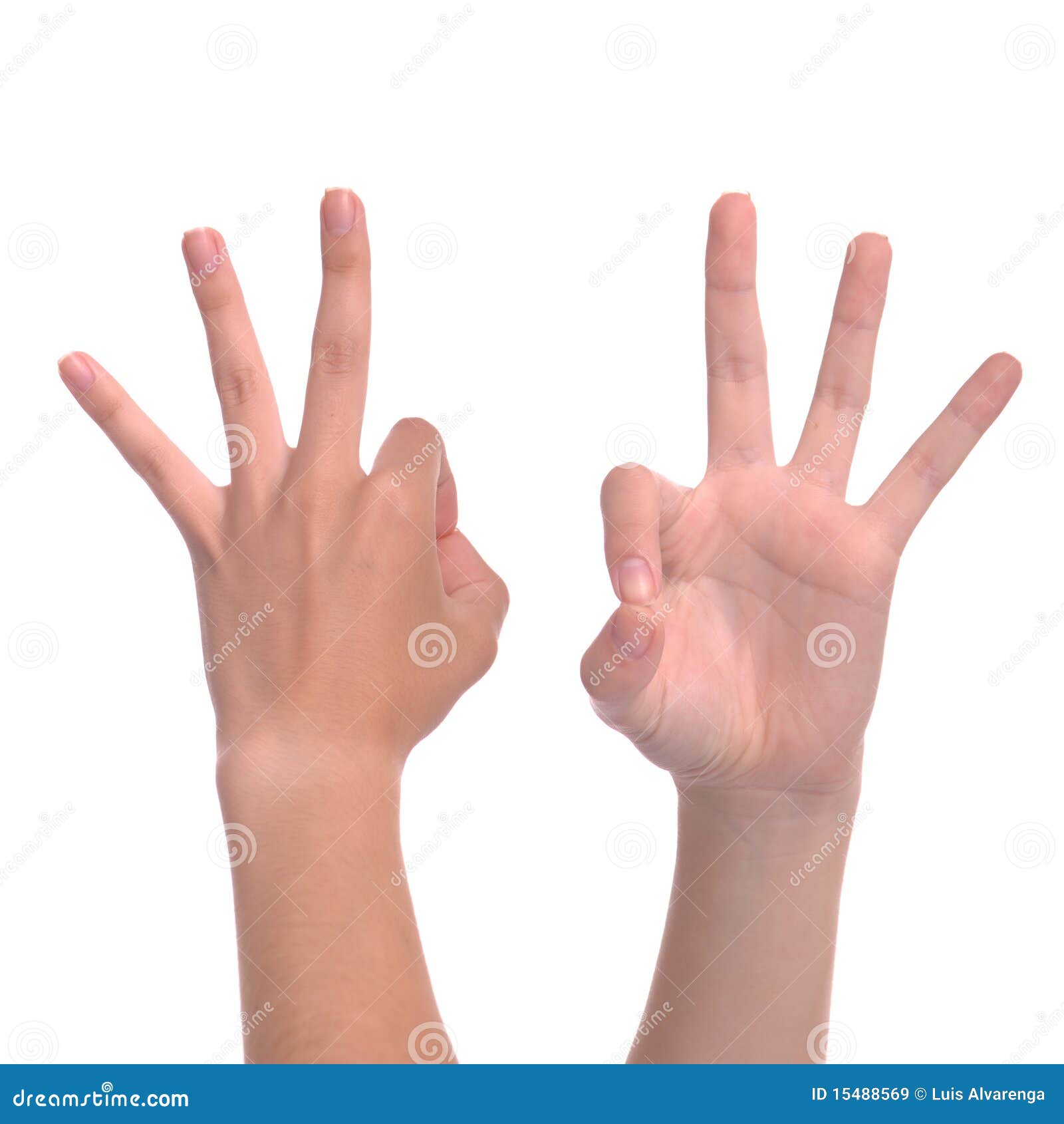 Hand sign OK stock image. Image of front, gesturing, background - 15488569