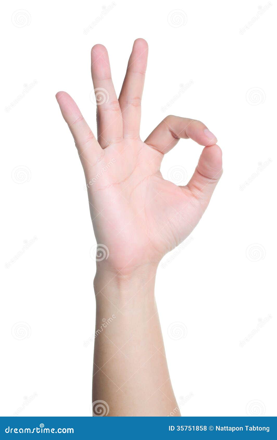 Hand Sign Posture Ok Isolated Stock Photo - Image of palm, item: 35751858