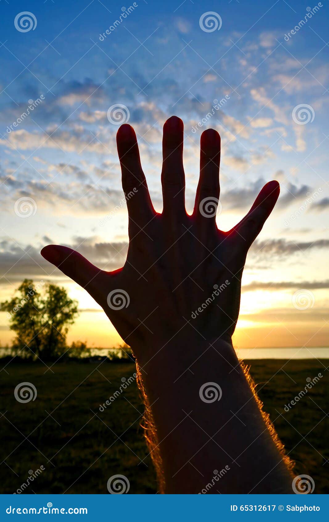 Hand Silhouette on Sunset stock image. Image of sunset - 65312617