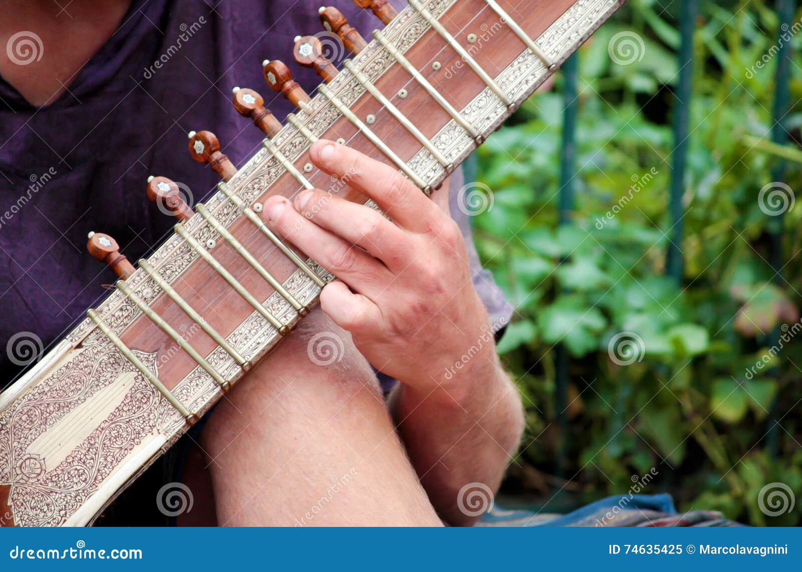 Hand on Sitar stock image. Image of instrument, clothing - 74635425