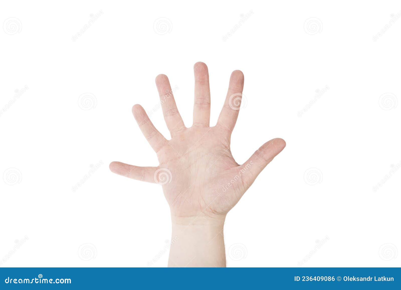 Hand with Six Fingers. High Quality Photo Stock Photo - Image of single ...
