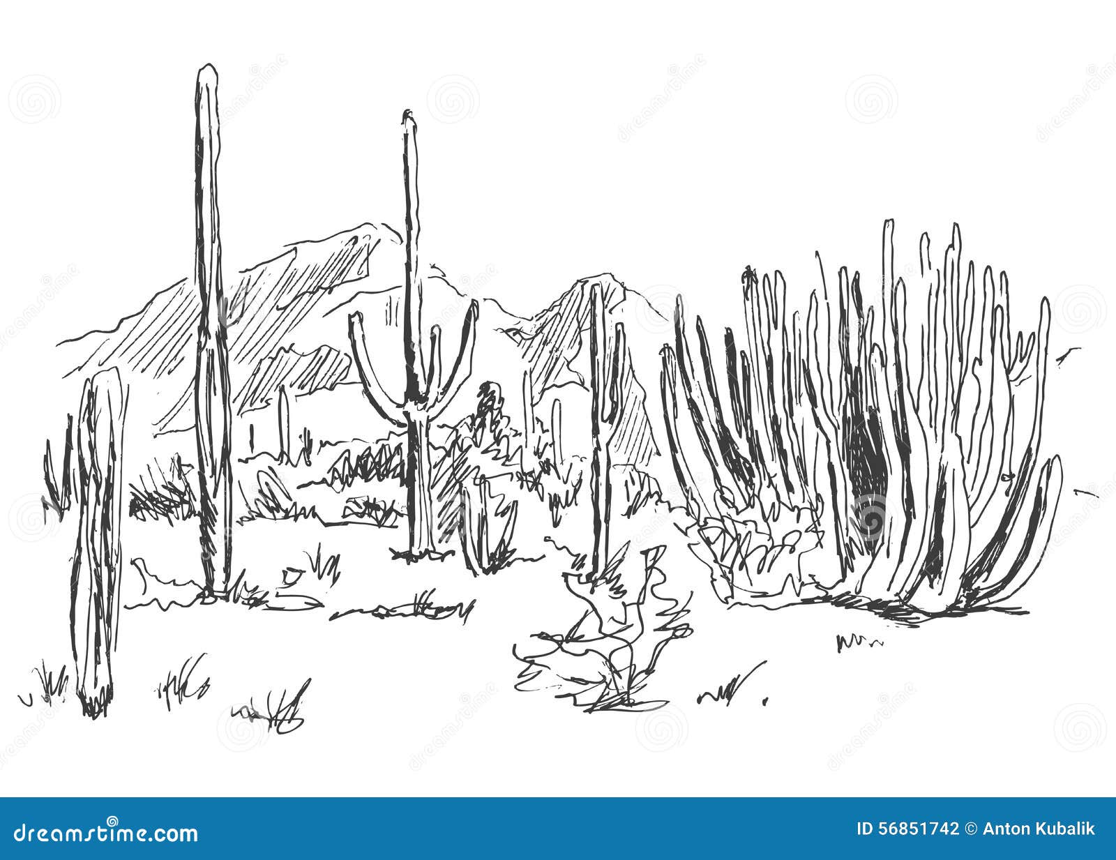 Hand Sketch American Desert Stock Vector - Illustration of black, arid ...