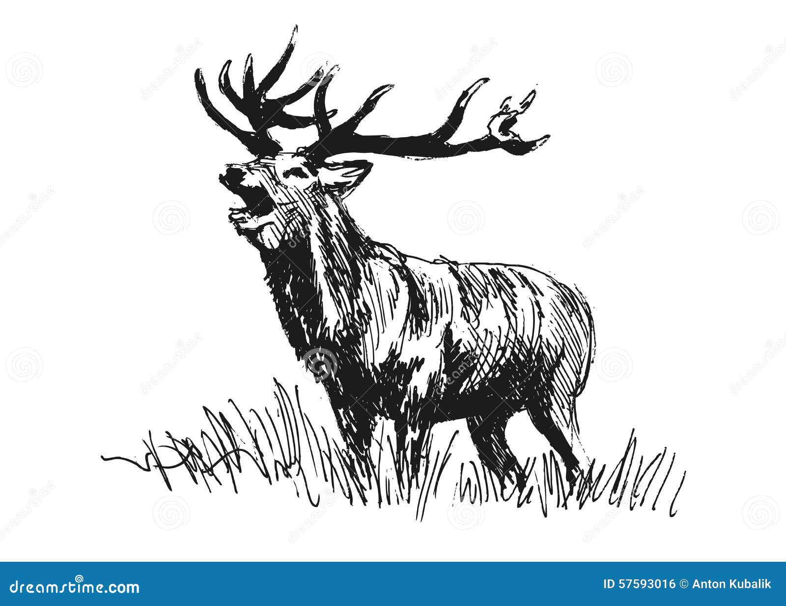 Sketch Deer With Mustache, Suitecase, Bicycle And Photo Camera, Vector ...