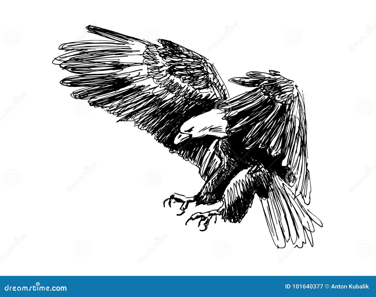 Hand Sketch Eagle Head stock vector. Illustration of eagle - 101640377
