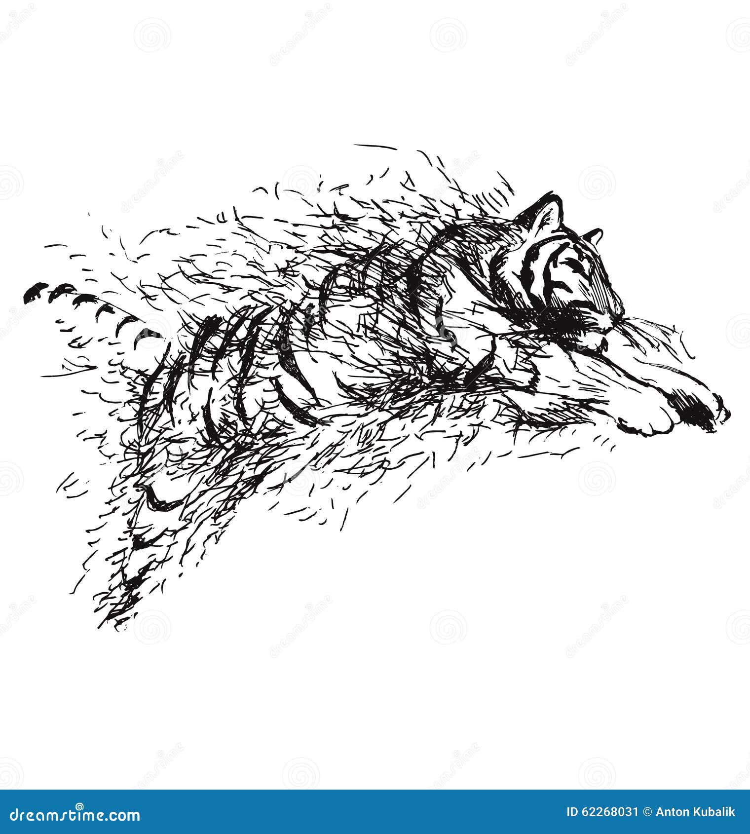 Leaping Tiger Cartoon Vector Illustration | CartoonDealer.com #94428962