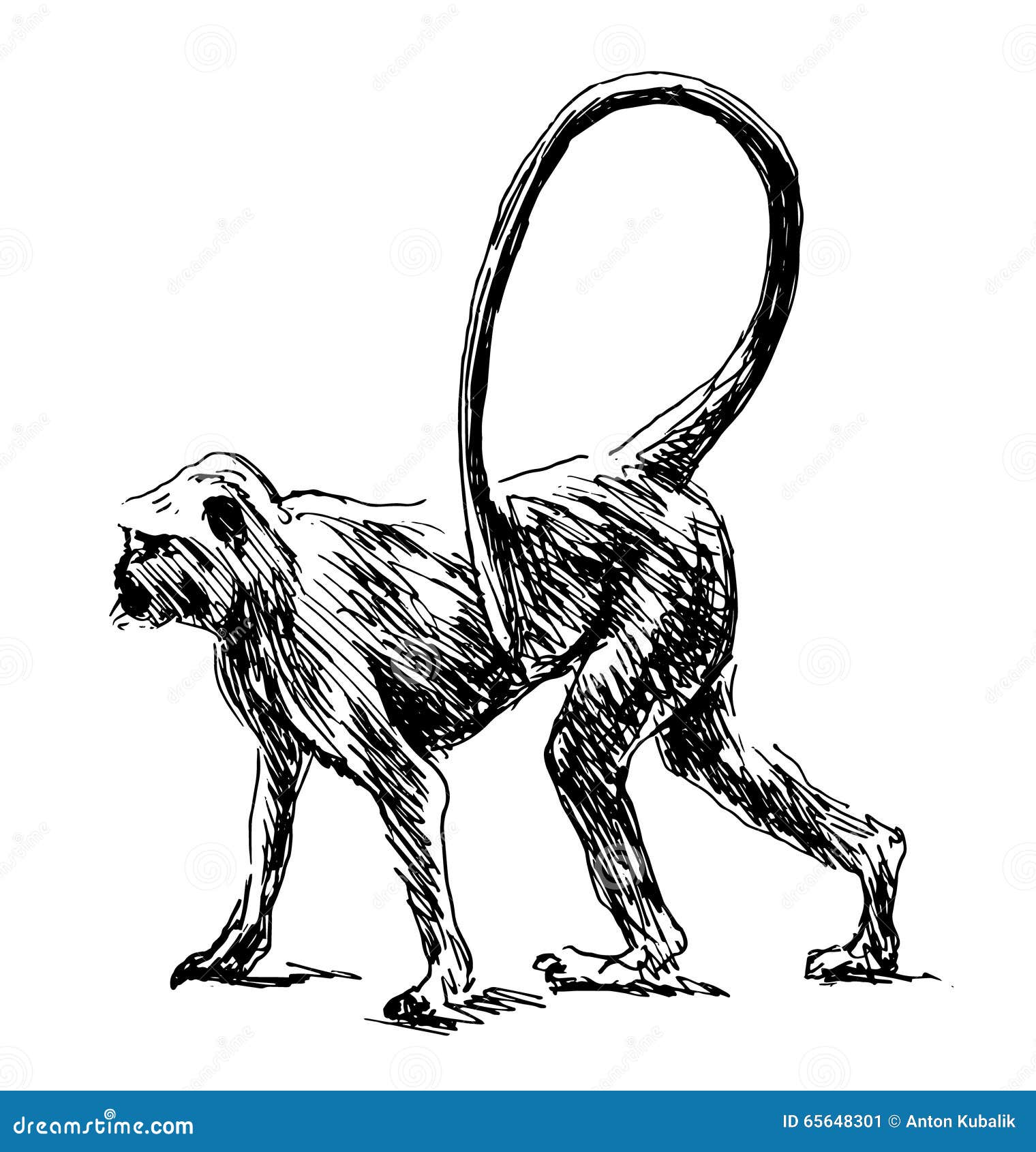 Hand Sketch Monkey Stock Vector - Image: 65648301