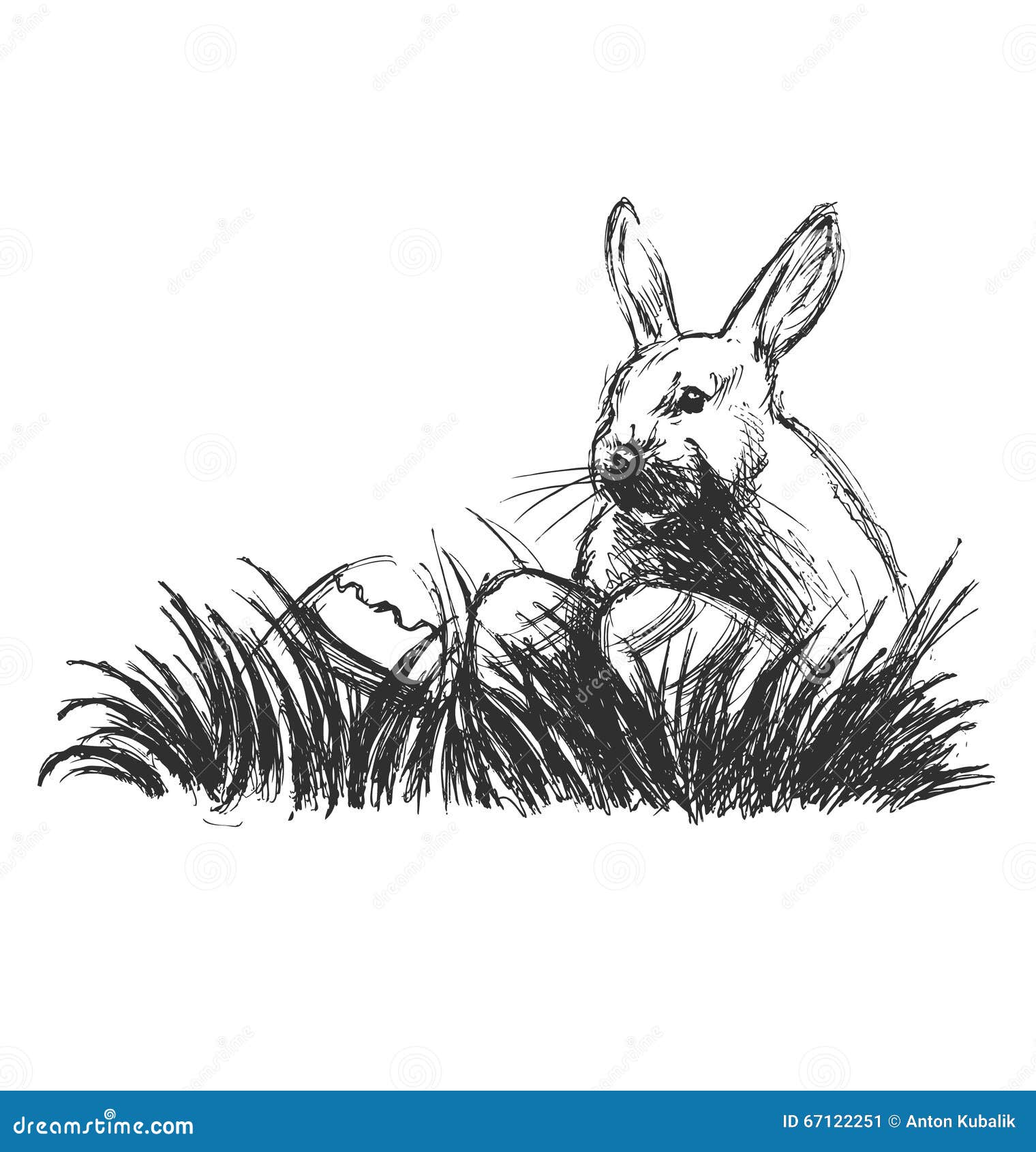 Sketch Of Rabbit Drawn By Hand. Animal Husbandry Cartoon Vector ...