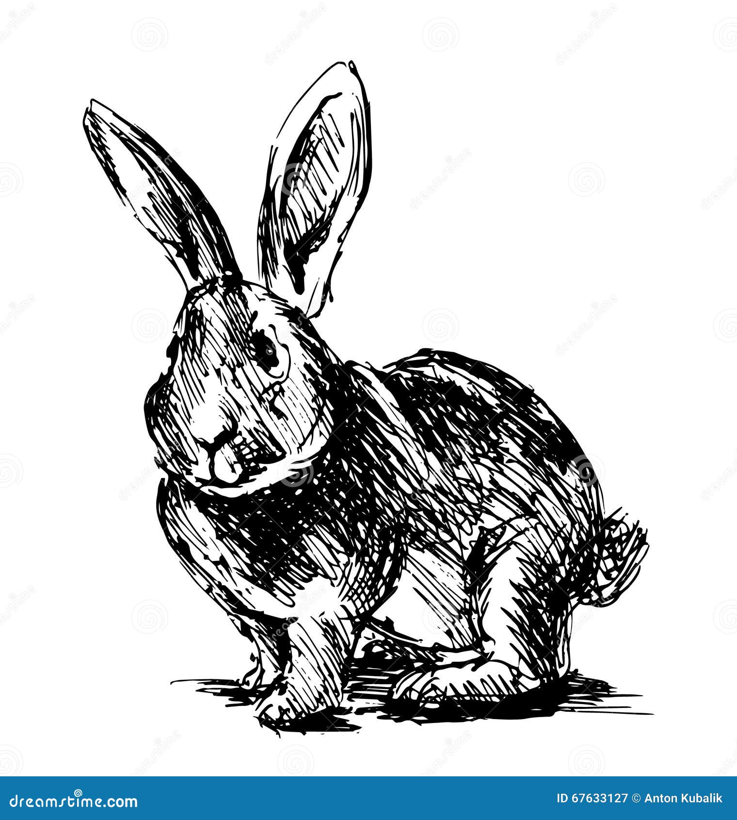 Hand sketch rabbit stock vector. Illustration of draw - 67633127