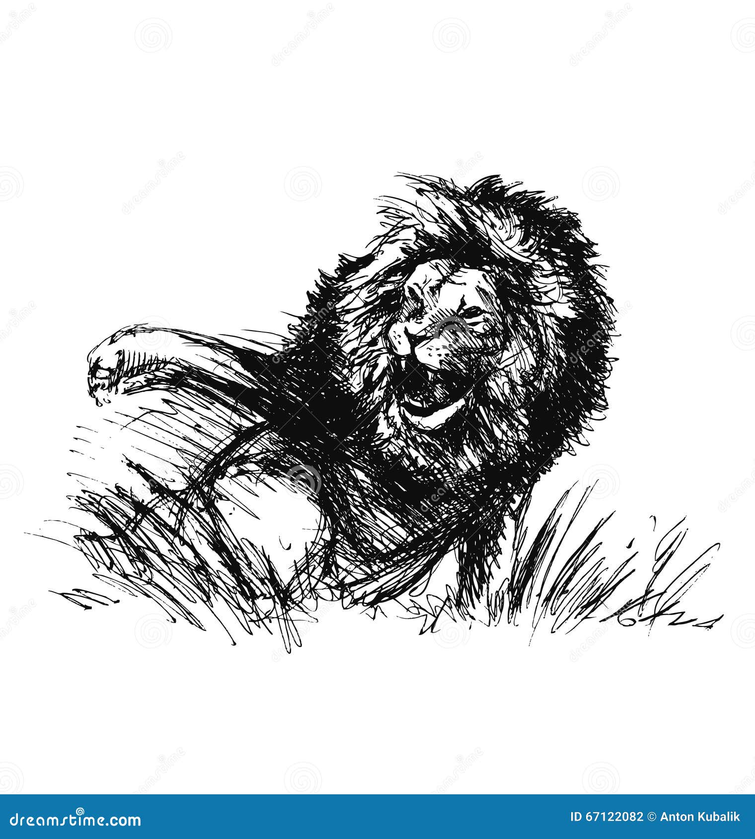 Hand Sketch of a Raging Lion Stock Vector - Illustration of predator ...