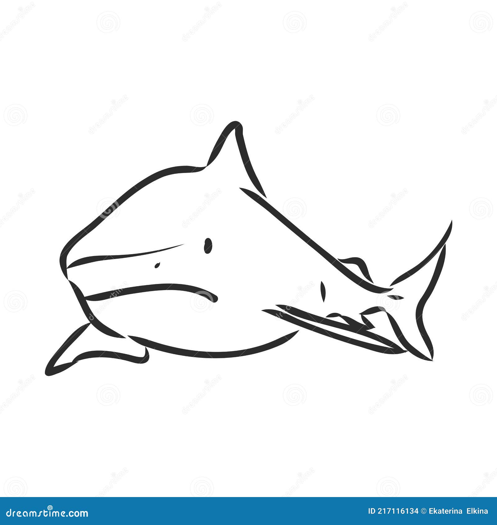 Hand Sketch Shark Shark, Vector Sketch Illustration. Stock Vector ...