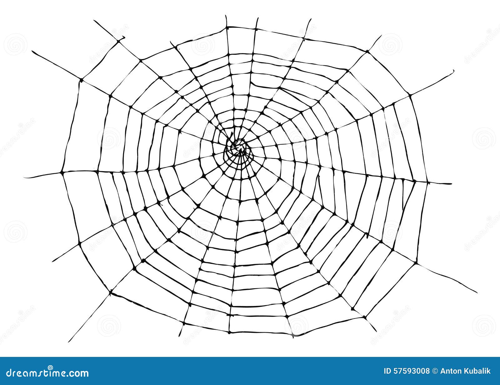 Hand sketch spider web stock vector. Illustration of silk - 57593008