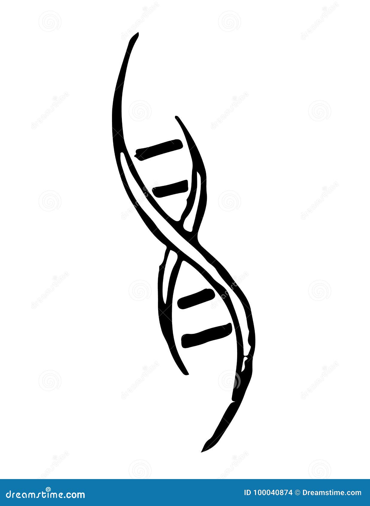 Hand Sketch the Structure of DNA Stock Vector - Illustration of ...