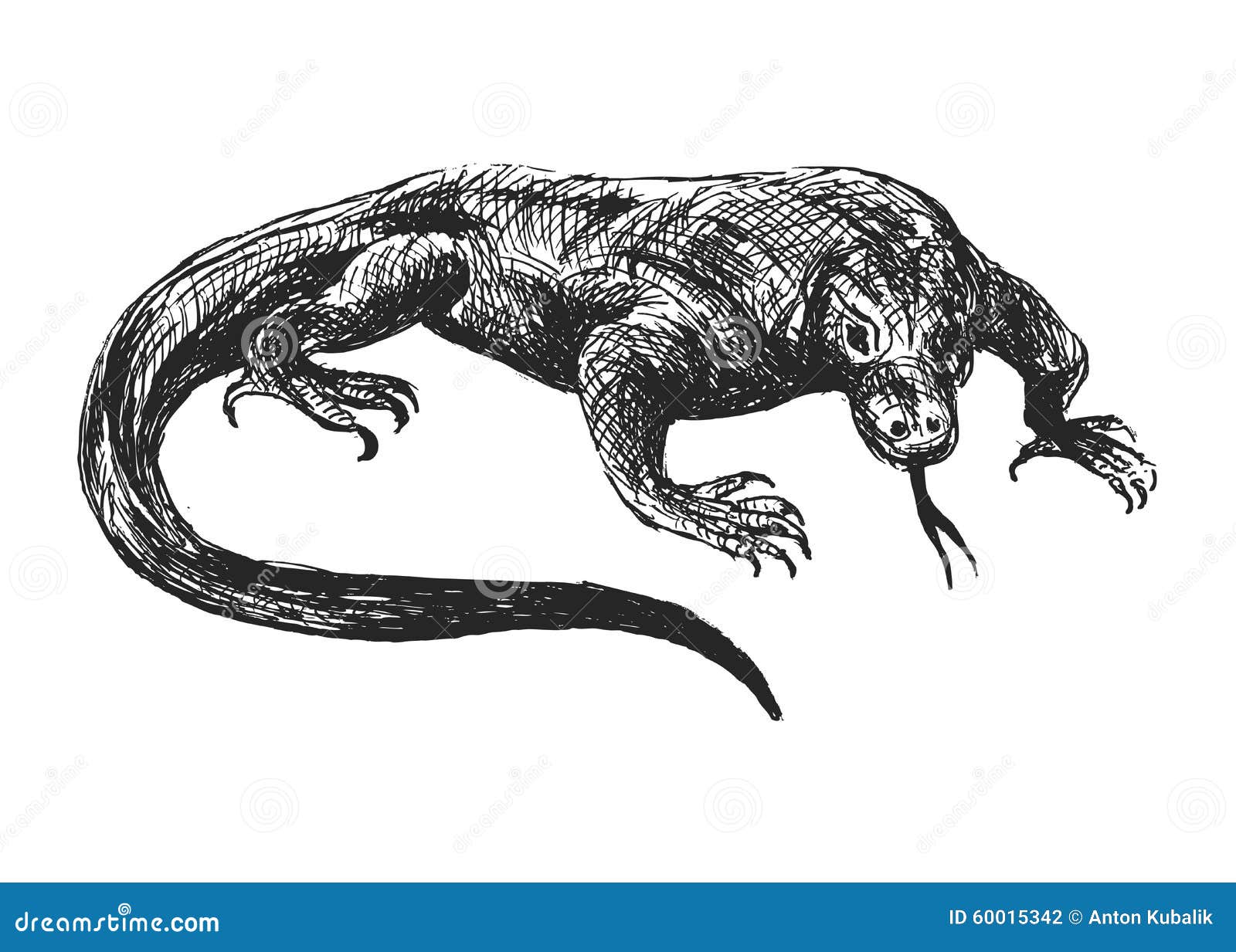 Hand sketch varan stock vector. Illustration of head - 60015342