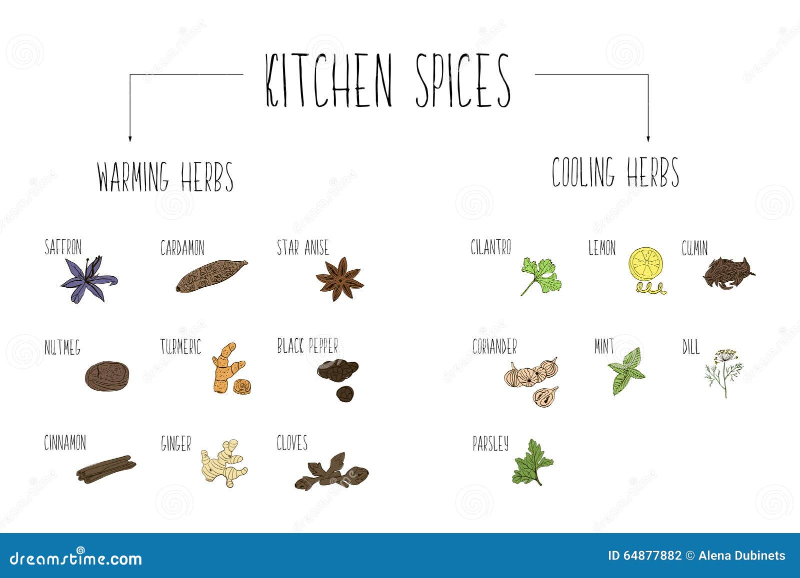 Hand-sketched a Large Collection of Elements Warming and Cooling Spices ...