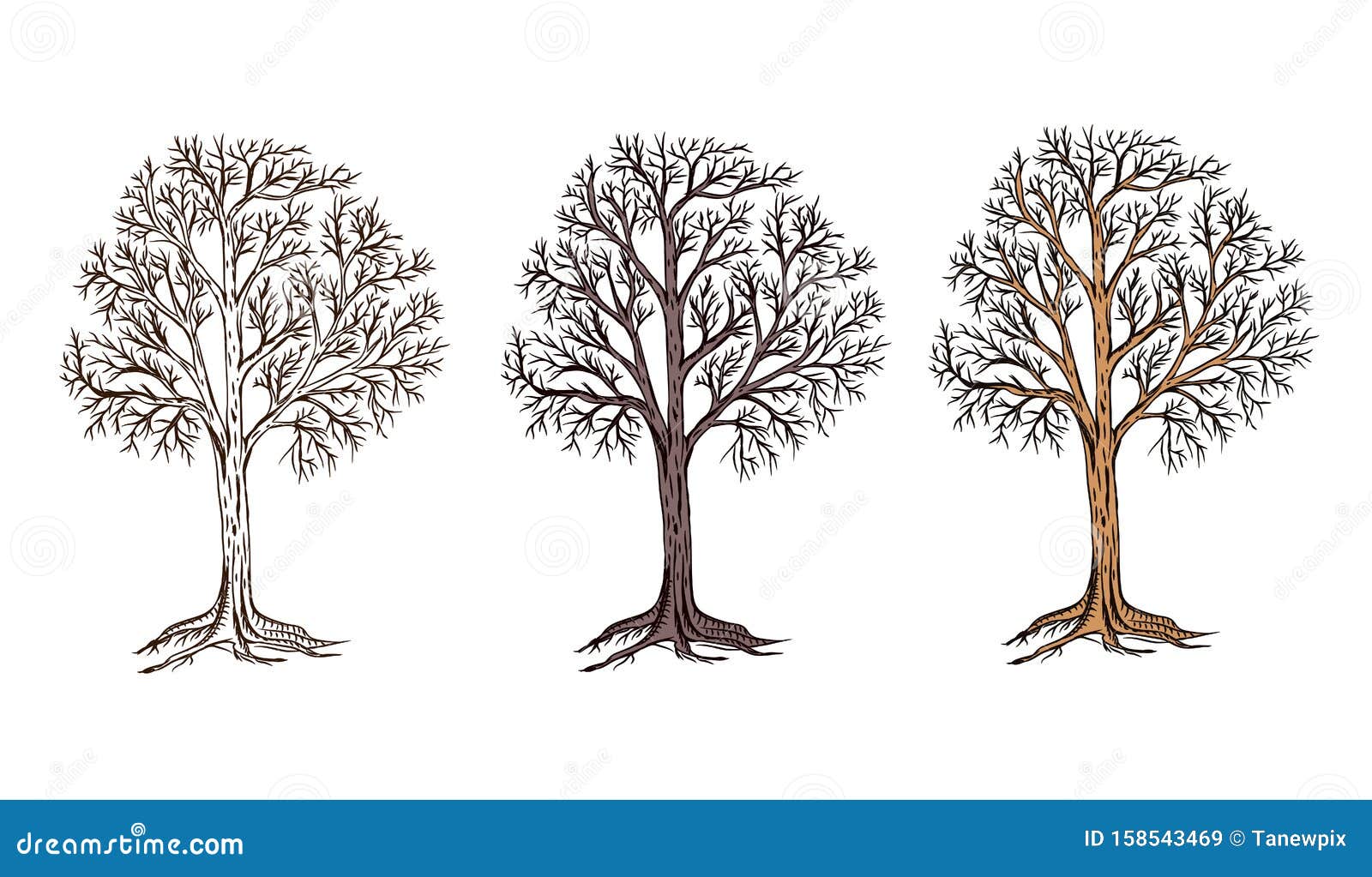 Hand Sketched Tree Dry Symbol Vector Illustration Stock Vector ...