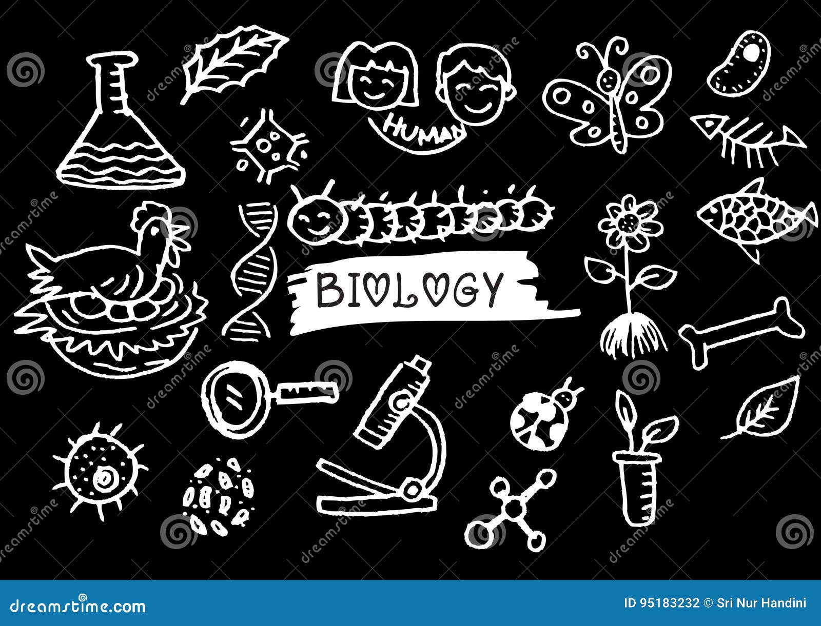 Hand sketches of biology. stock illustration. Illustration of science ...