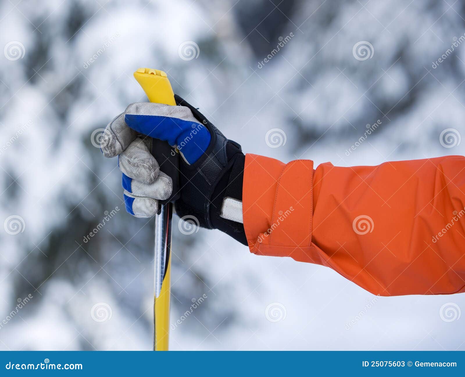 Hand and Ski Pole stock image. Image of vacations, isolated - 25075603