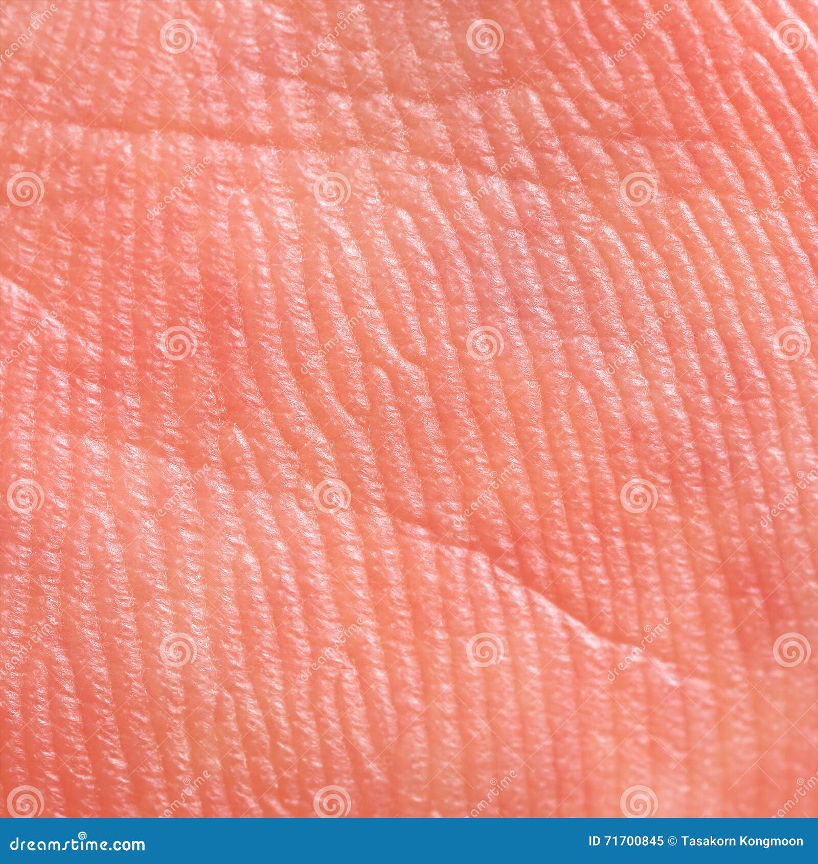 Hand skin texture stock image. Image of cover, health - 71700845