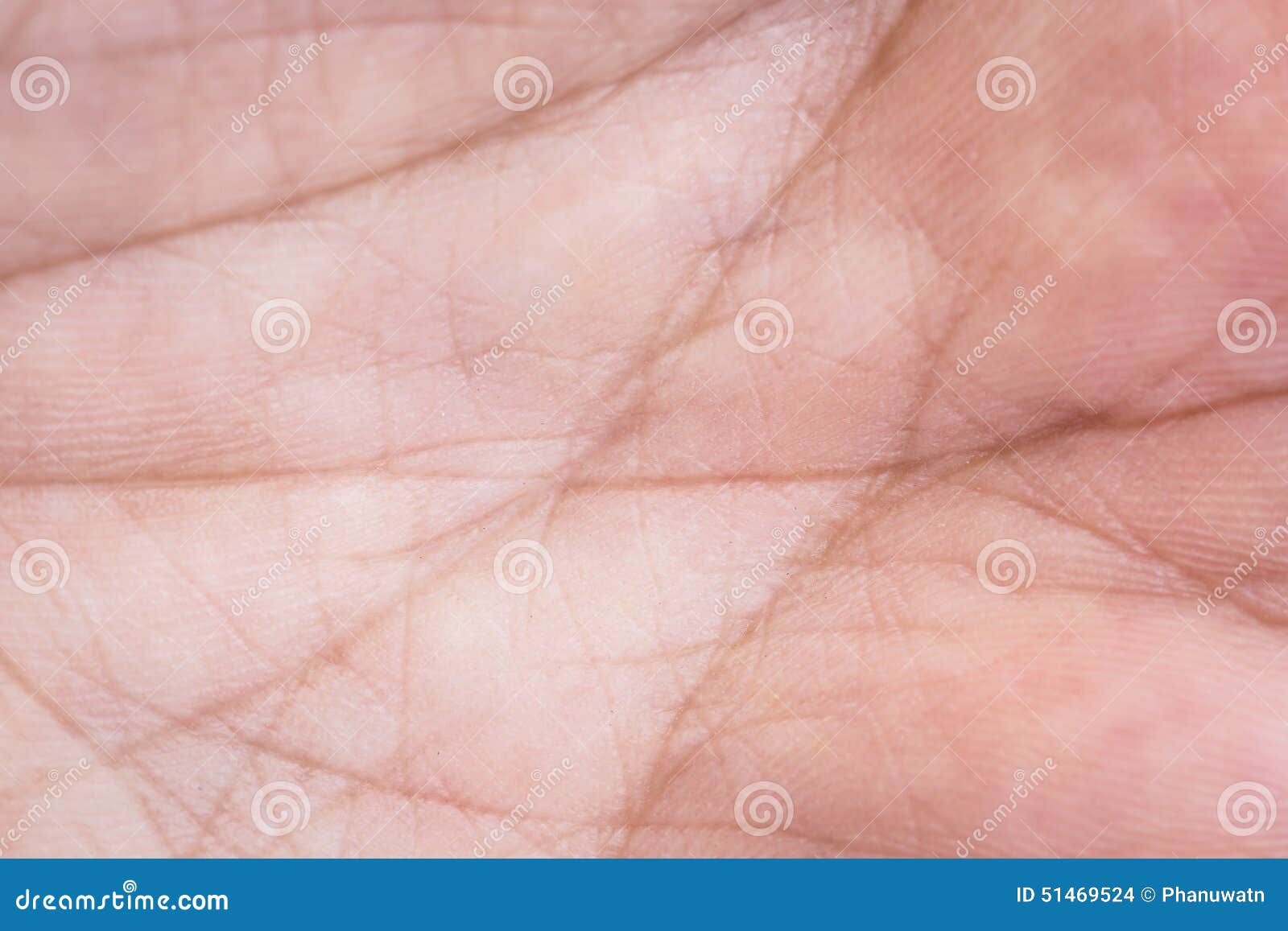 Hand skin texture stock photo. Image of detail, texture - 51469524