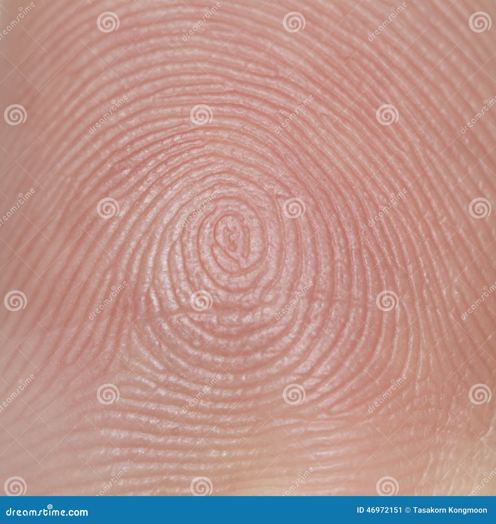 Hand Skin Texture for Pattern and Background Stock Image - Image of ...
