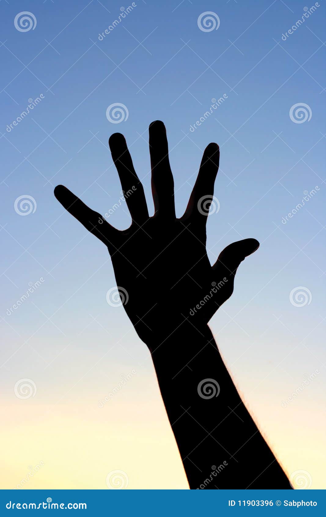 Hand on the sky stock photo. Image of isolated, tranquil - 11903396