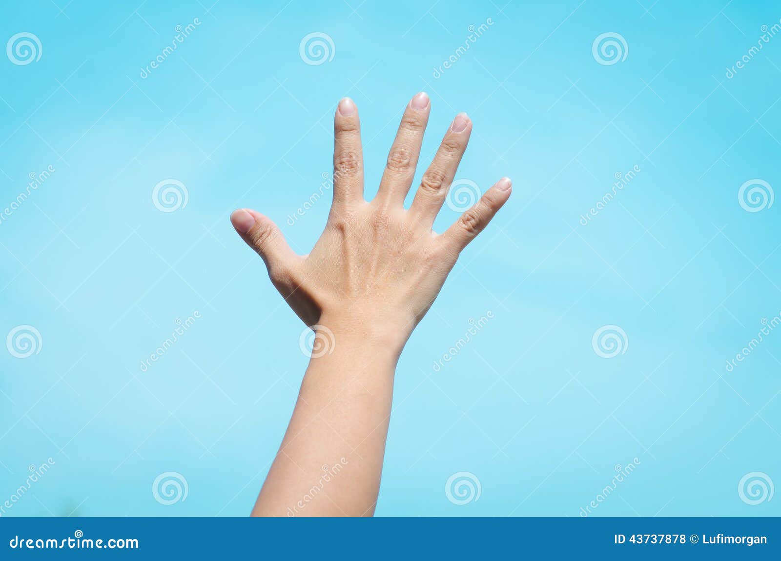 Hand with the sky stock photo. Image of nature, symbol - 43737878