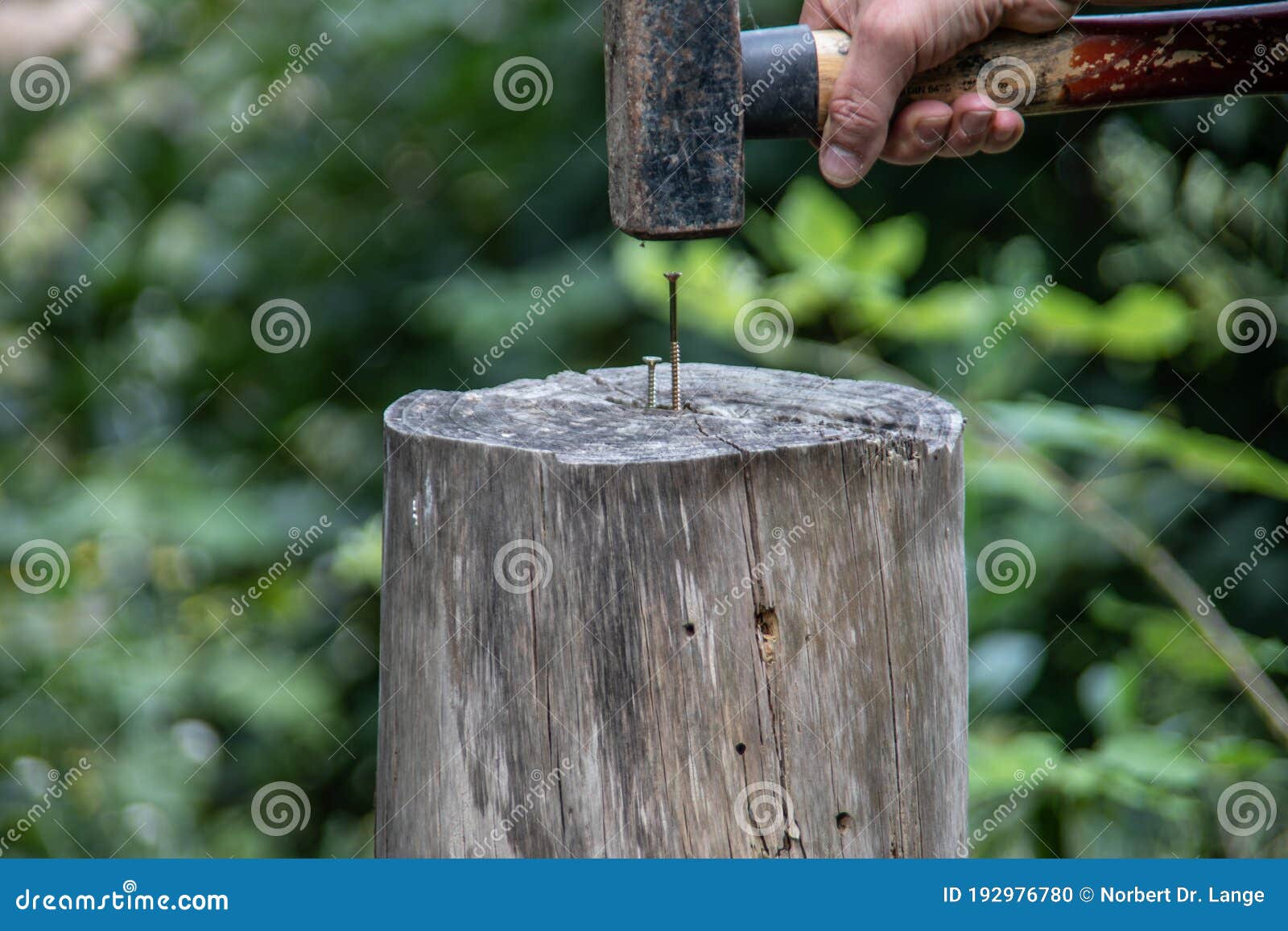 Hand with Sledgehammer Nails Stock Photo - Image of construction ...