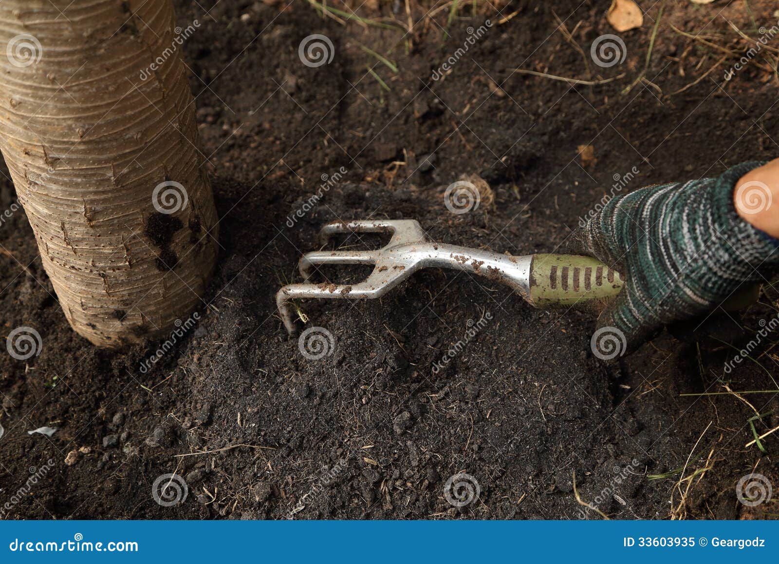 Hand with Small Gardening Fork Working in the Garden Stock Image ...