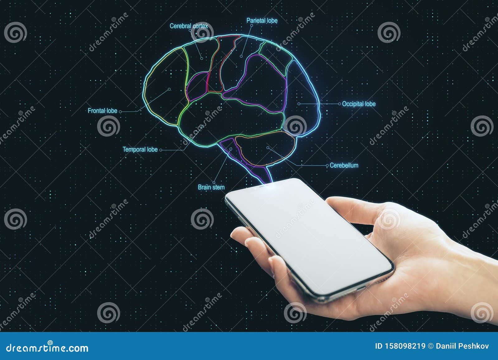 Hand with Smartphone Screen and Digital Brain Scheme Marked by Neon ...
