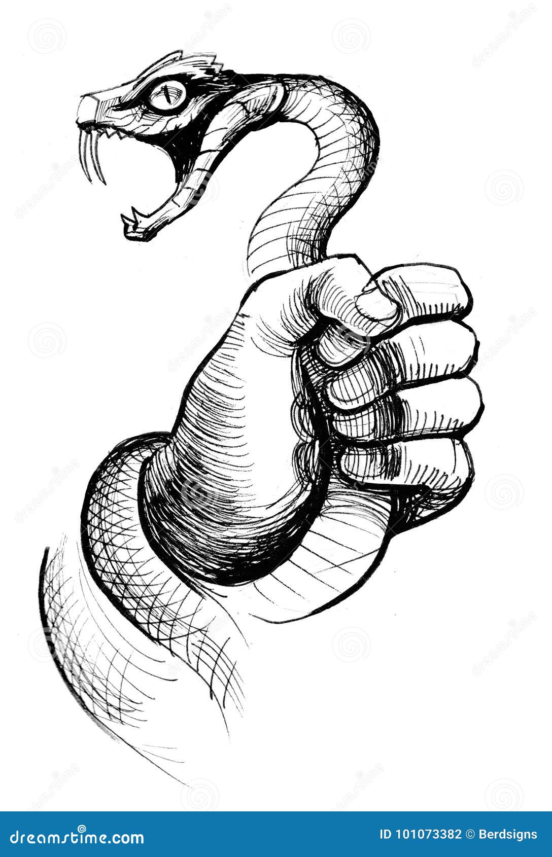 Hand and a snake stock illustration. Illustration of holding - 101073382