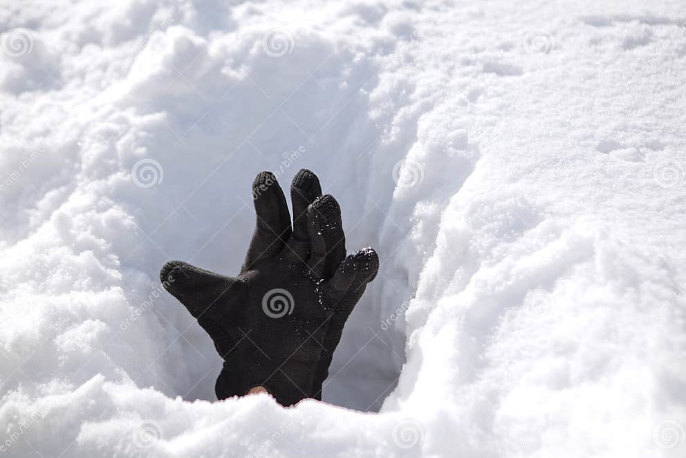 Hand in snow stock photo. Image of disaster, help, helping - 13457792
